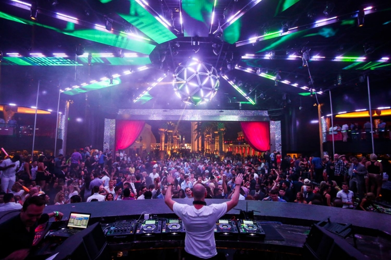 Wild Party Buses - Wild Boyz Entertainment