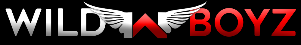 The Ultimate Guide to Stripper Entertainment